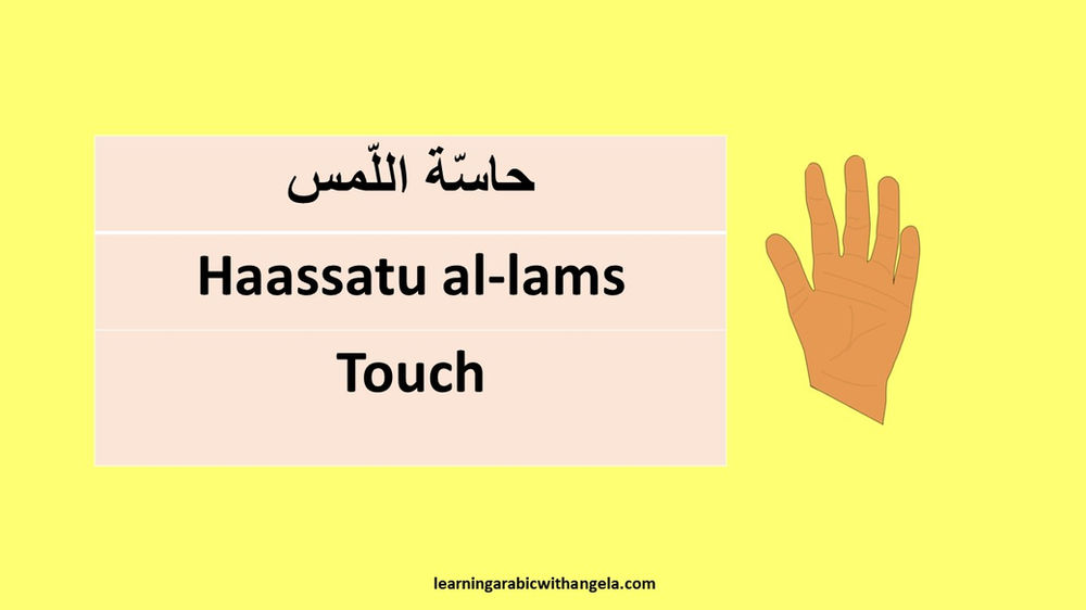 The Five Senses in Arabic