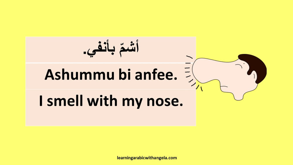 The Five Senses in Arabic