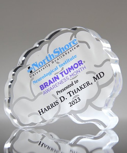 Custom Brain Paperweight Award | Delhi Trophy Awards