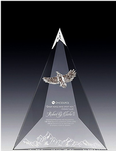 Soar High Award | Delhi Trophy Awards