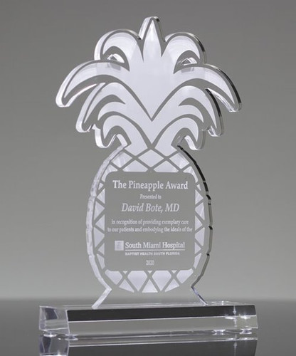Acrylic Pineapple Award | Delhi Trophy Awards