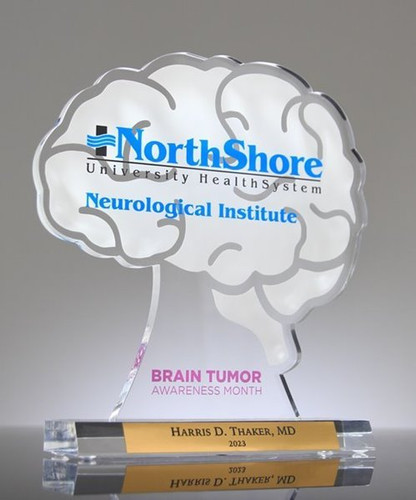 Acrylic Brain Trophy | Delhi Trophy Awards