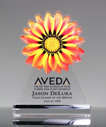 Orange Sunflower Award | Delhi Trophy Awards