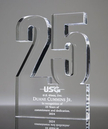 25 Year Anniversary Award | Delhi Trophy Awards