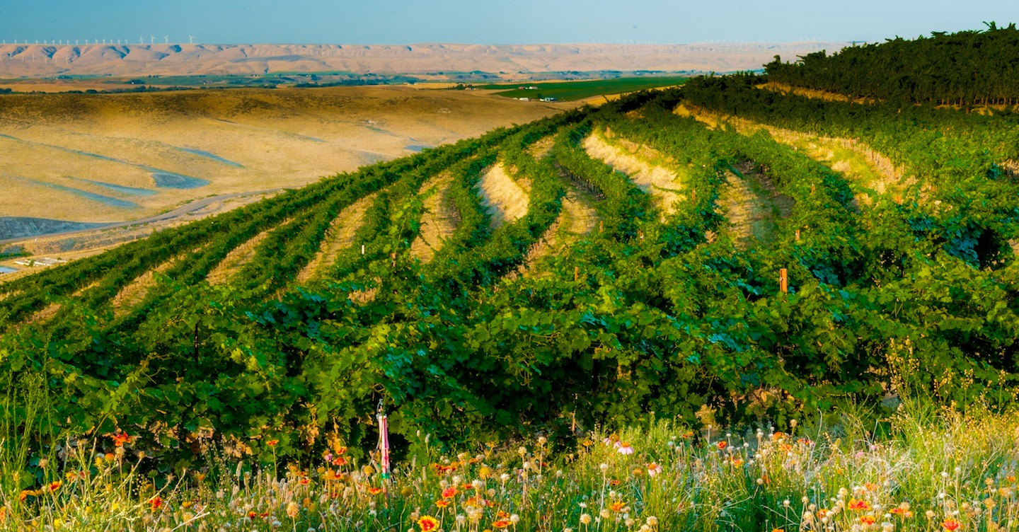 Walla Walla Valley | Wine Origins