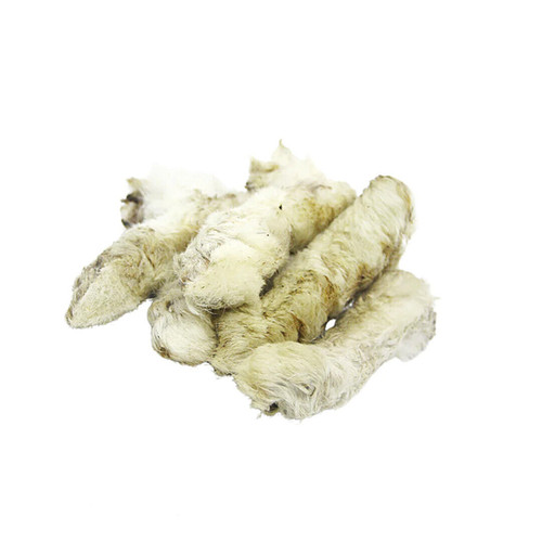 Rabbit Feet | Flawless Paws Ltd