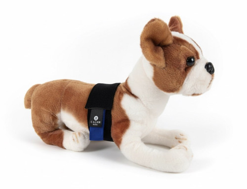 Settle Strap | Calmr Dog Toys