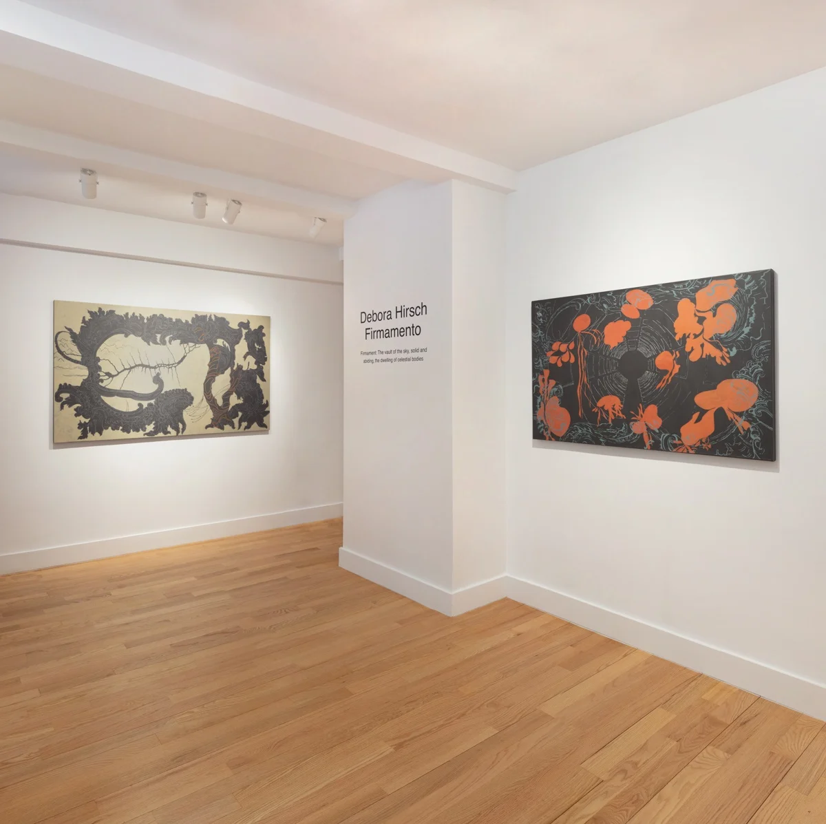 DEBORA HIRSCH - DIGITAL COLONIALISM