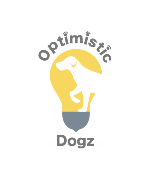 Join "Optimistic Dogz" on the Spaces by Wix App