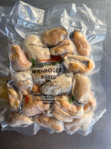 100g Mussel Meat (cooked) | Wrigglers Baits