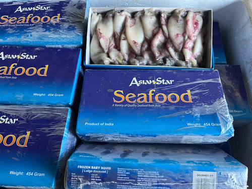 Asian Star Party squid 1lb box | Wrigglers Baits