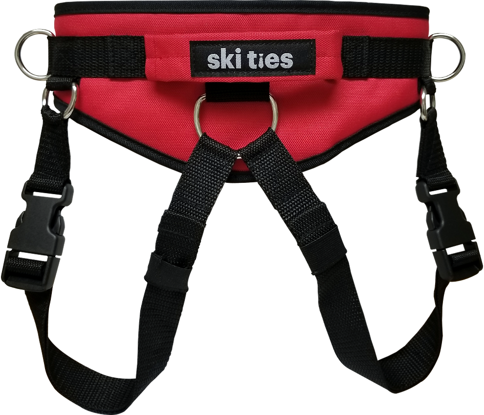 Ultimate Ski Harness | Ski Ties