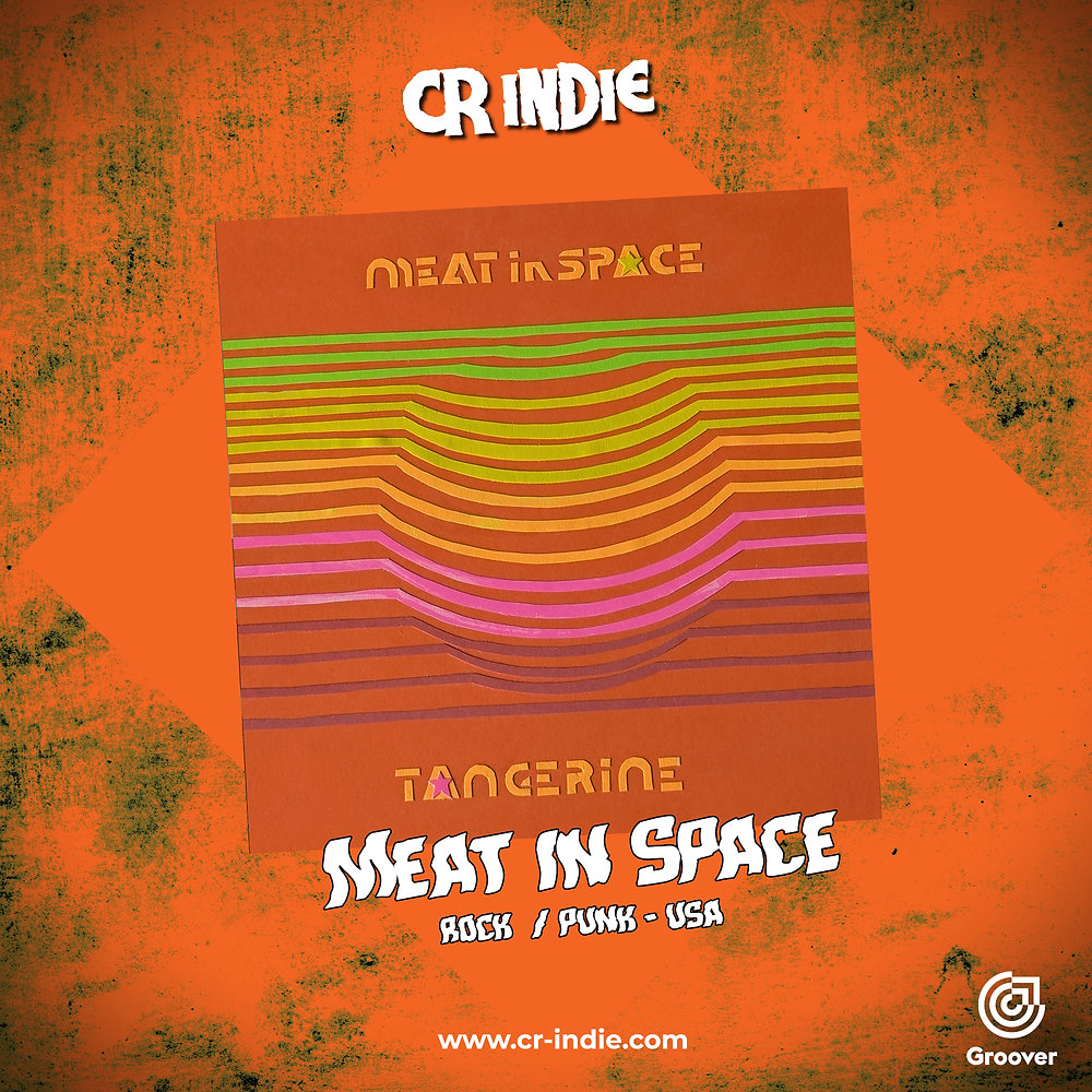 Meat in Space