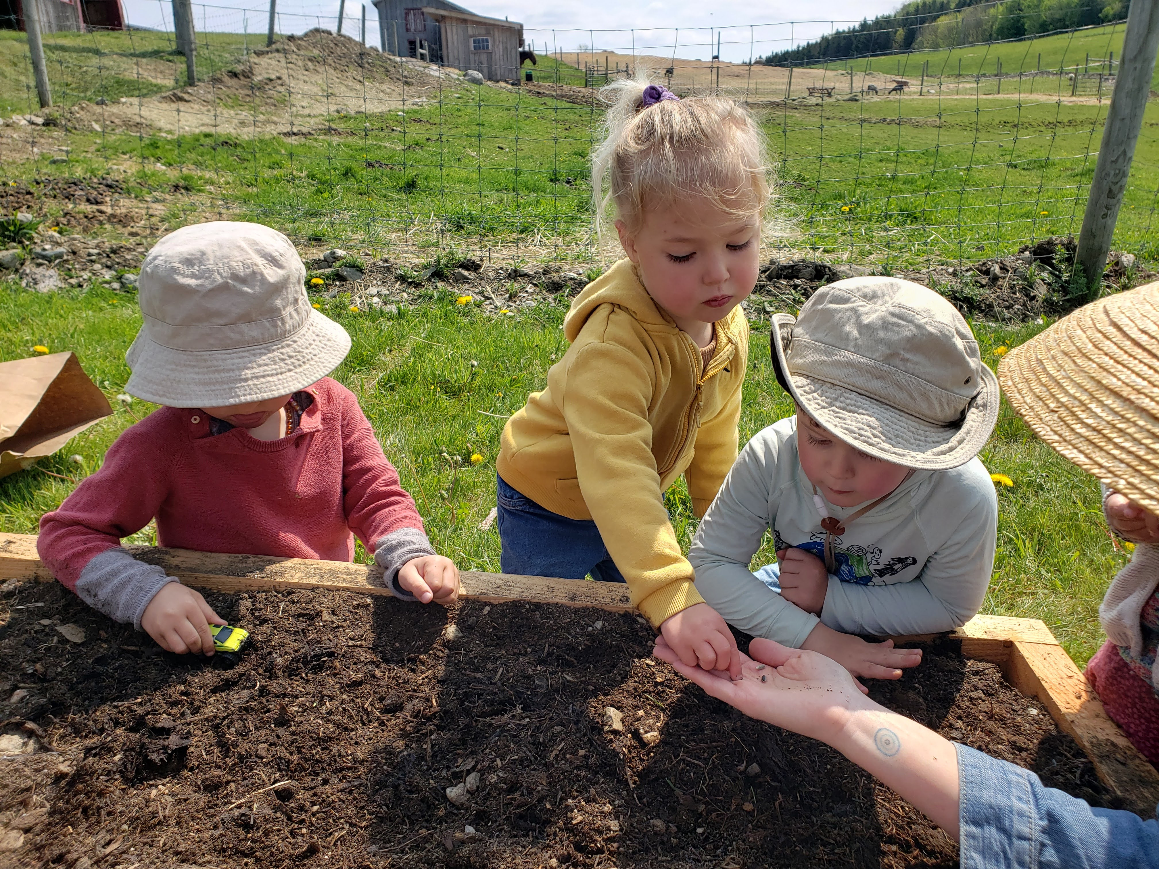 Kits & Cubs | Merck Forest & Farmland Center