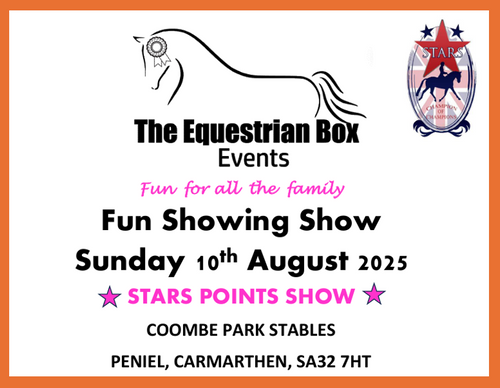 Class 7 Cob (open to all including traditional) | The Equestrian Box
