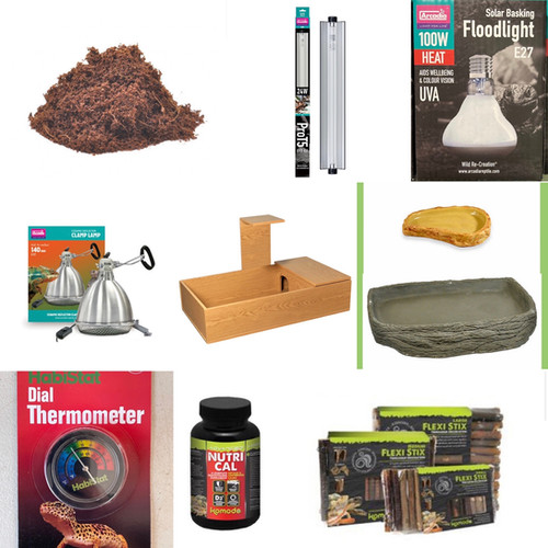 TORTOISE TABLE SETUP WITH T5 LIGHTING & HEATING | THE TORTOISE HUT