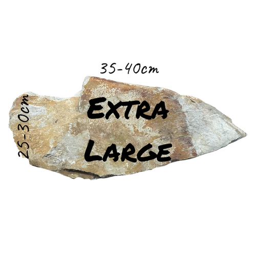 FEEDING SLATE EXTRA LARGE | THE TORTOISE HUT