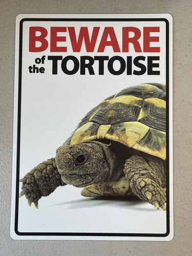 BEWARE OF THE TORTOISE SIGN | THE TORTOISE HUT
