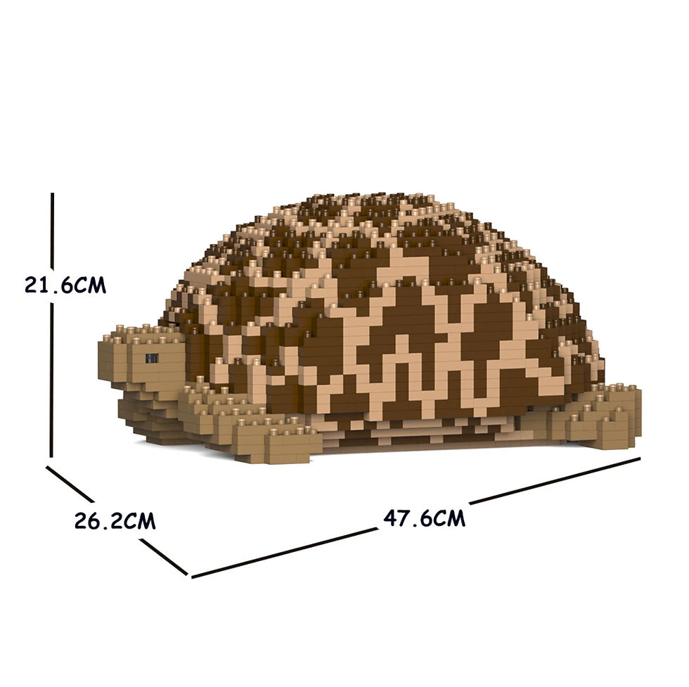 Giftware | THE TORTOISE HUT