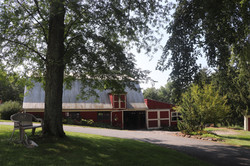 Little Springs Farm | Home