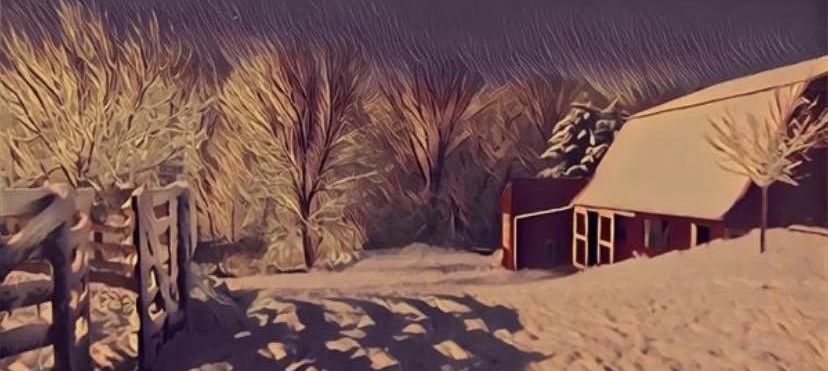 Little Springs Farm | Home