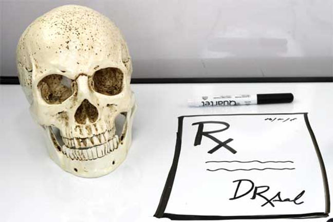 Buy An Anatomical Skull For 10 Bucks buy-an-anatomical-skull-for-10-bucks