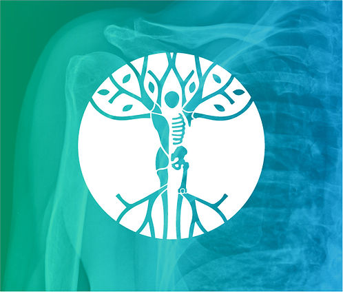 Southeastern Fracture Consortium Foundation | Orthopedic Trauma