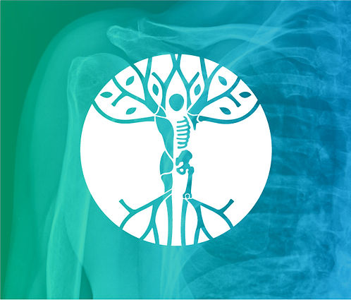 Southeastern Fracture Consortium Foundation | Orthopedic Trauma