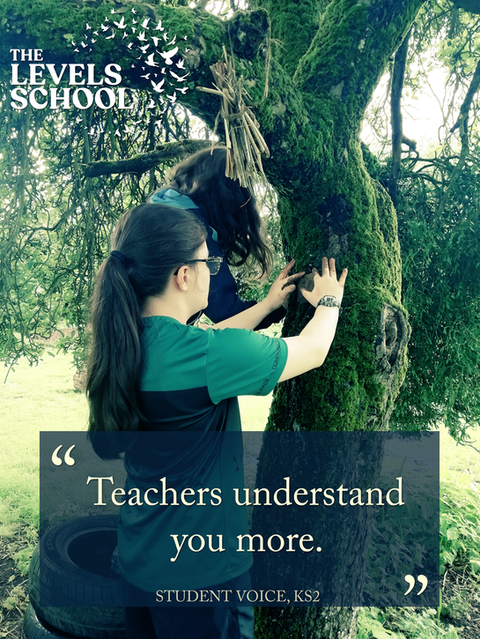 HOME | The Levels School