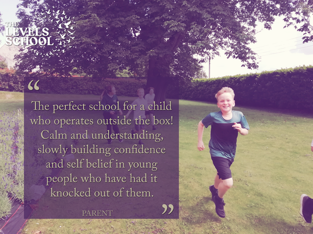 HOME | The Levels School