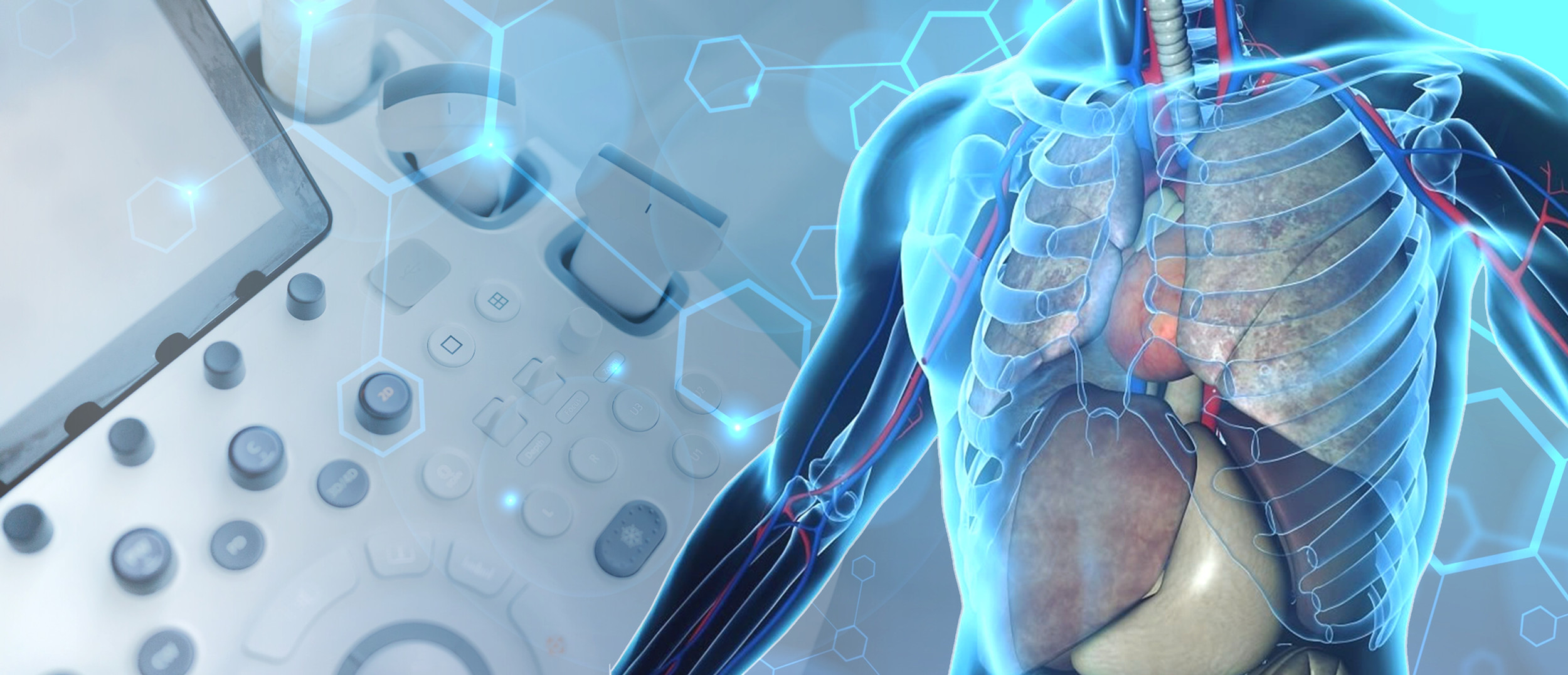 Ecocolordoppler delle Arterie Renali: Esame, Quando e Perché