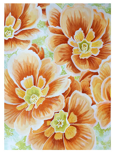 Orange Primrose | cindyjacobsartwork