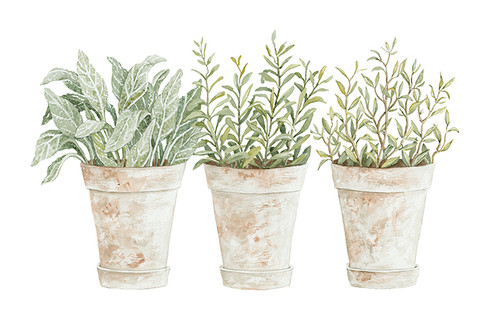 Herb Trio | cindyjacobsartwork