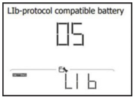 Synapse Inverter Guide | EON Lithium