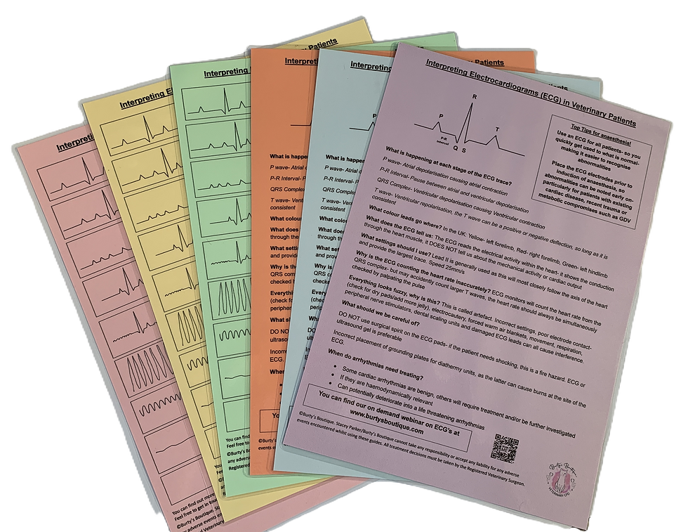 ECG Poster Guides | Burty's Boutique