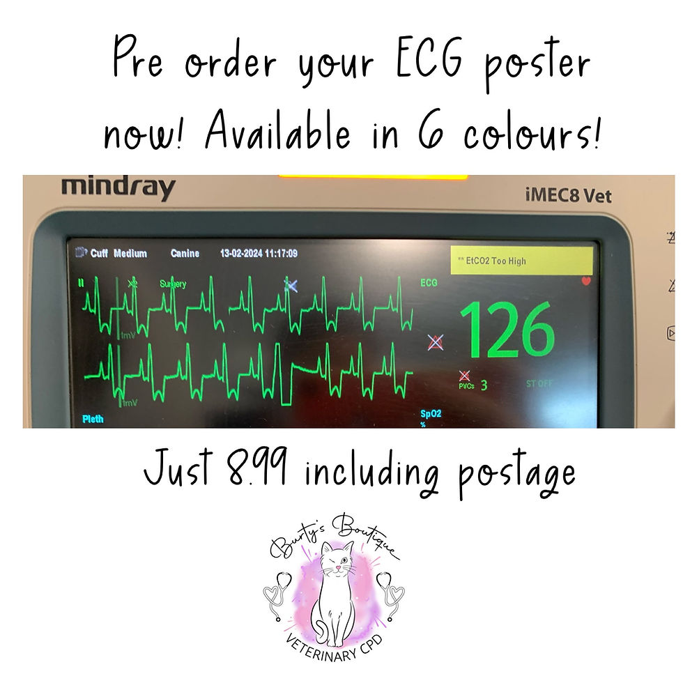Pre order ECG Poster guide | Burty's Boutique