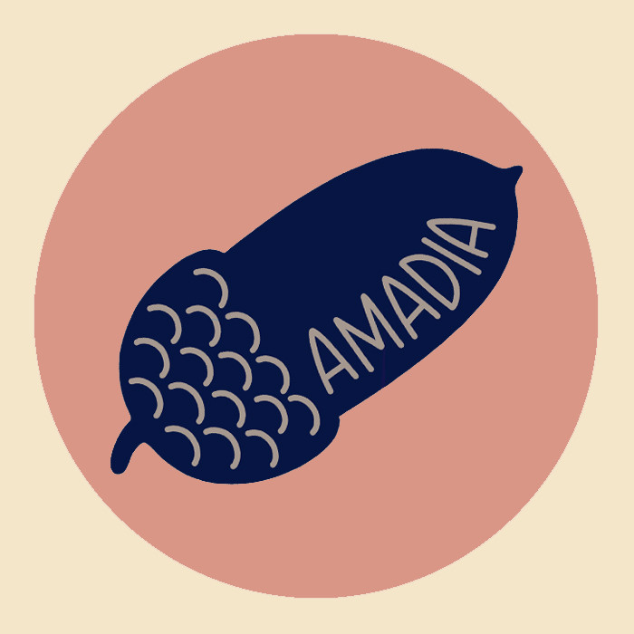 Cork Accessories | Amadia Lifestyle