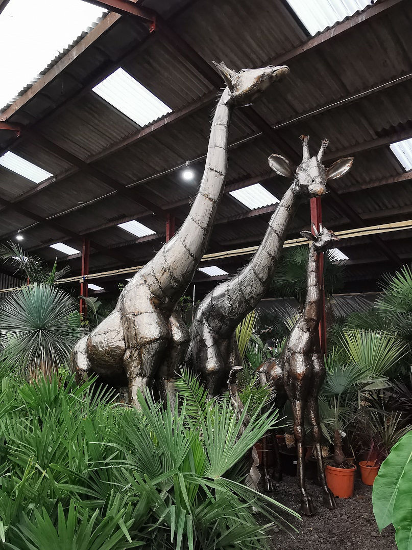 Large Metal African Animal Sculptures. The Palm Tree Company