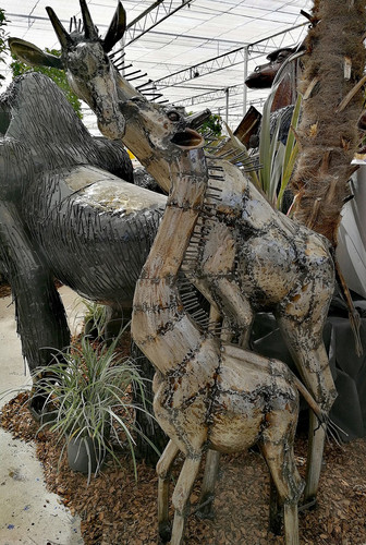 LARGE METAL GIRAFFE SCULPTURES. Mother and Baby | thepalmtreecompany