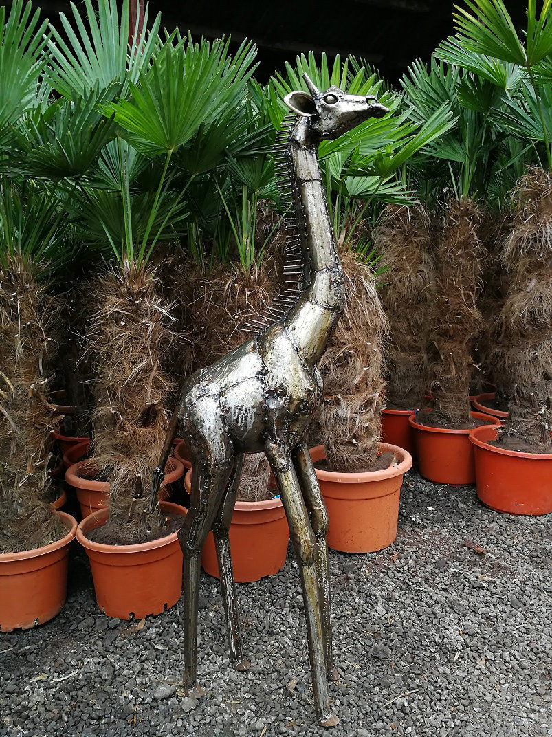 LARGE METAL GIRAFFE SCULPTURES. | thepalmtreecompany