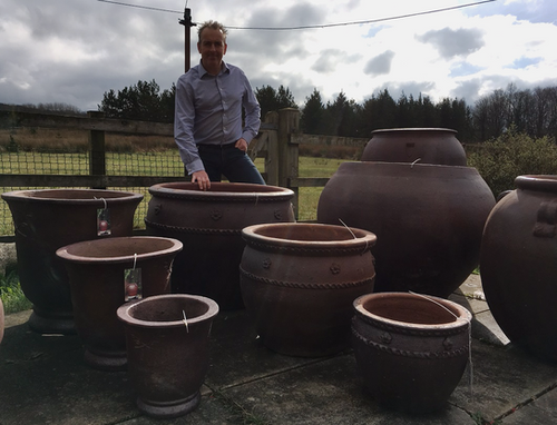 RUSTIC APRICOT POT. Free UK Delivery! | thepalmtreecompany