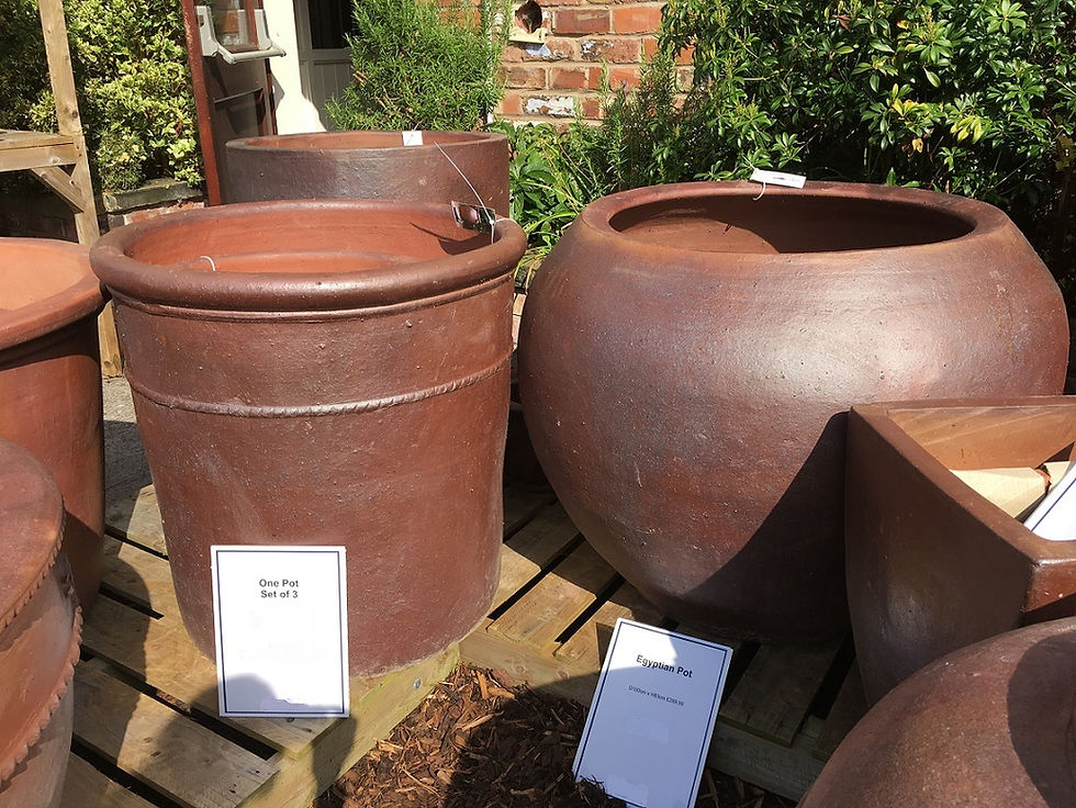 Large Rustic Garden Pots. The Palm Tree Company.