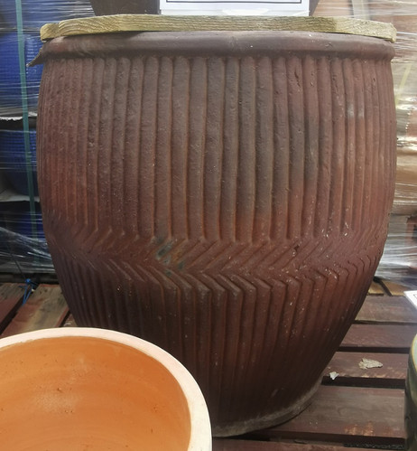 RUSTIC DOLLY POT. | thepalmtreecompany