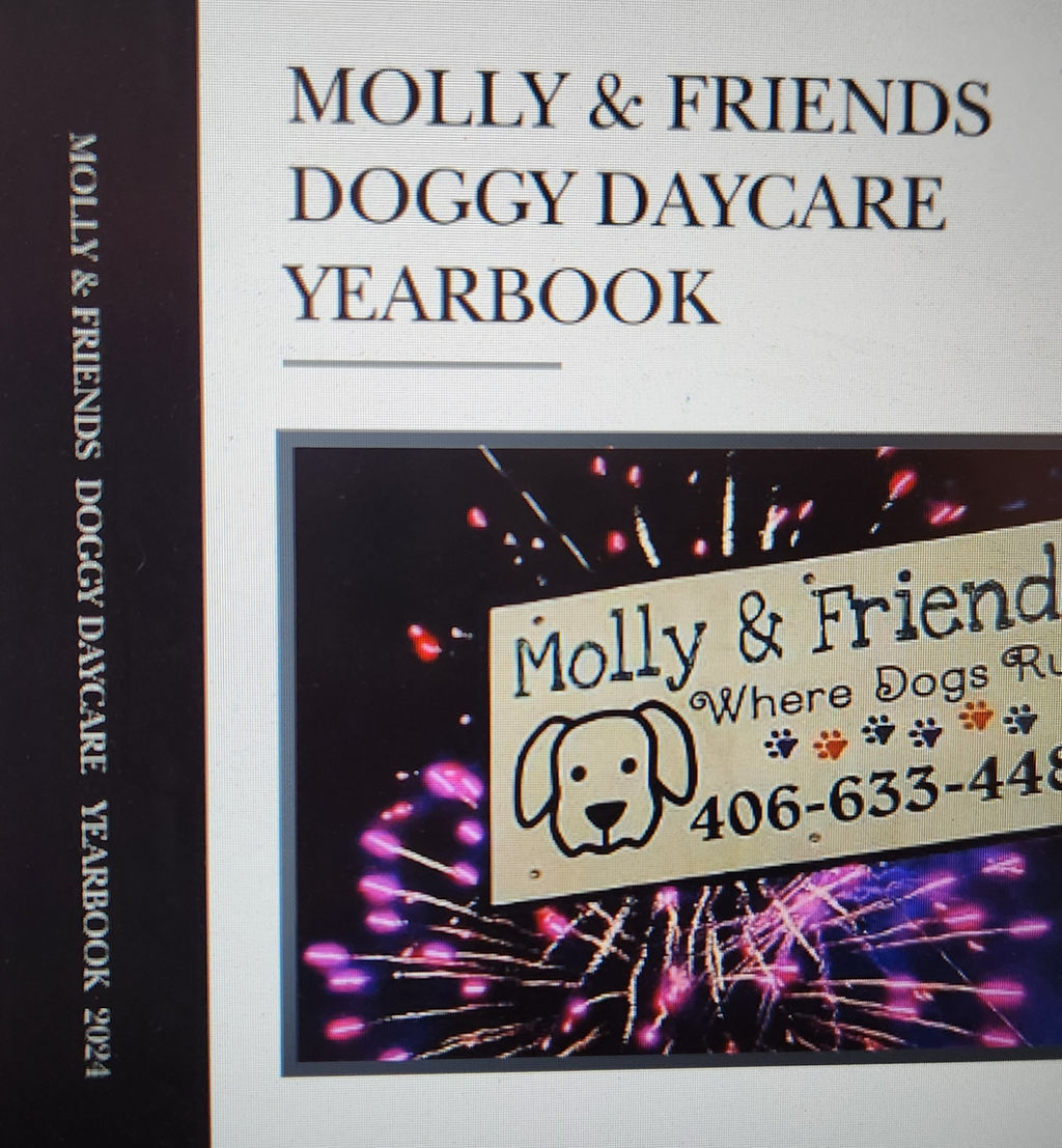 Home | Molly & Friends