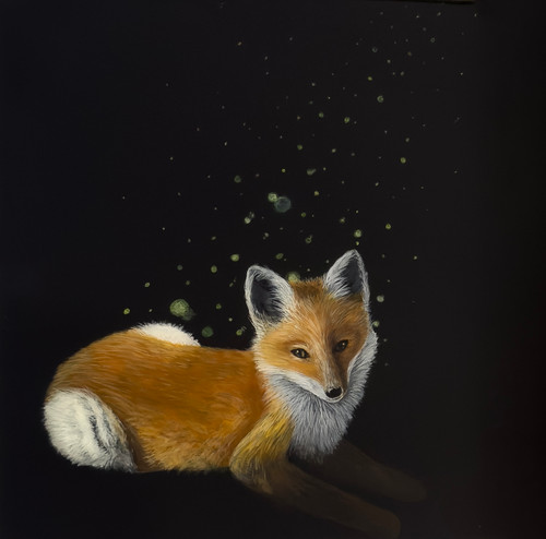 Starlight Fox | Arwynn