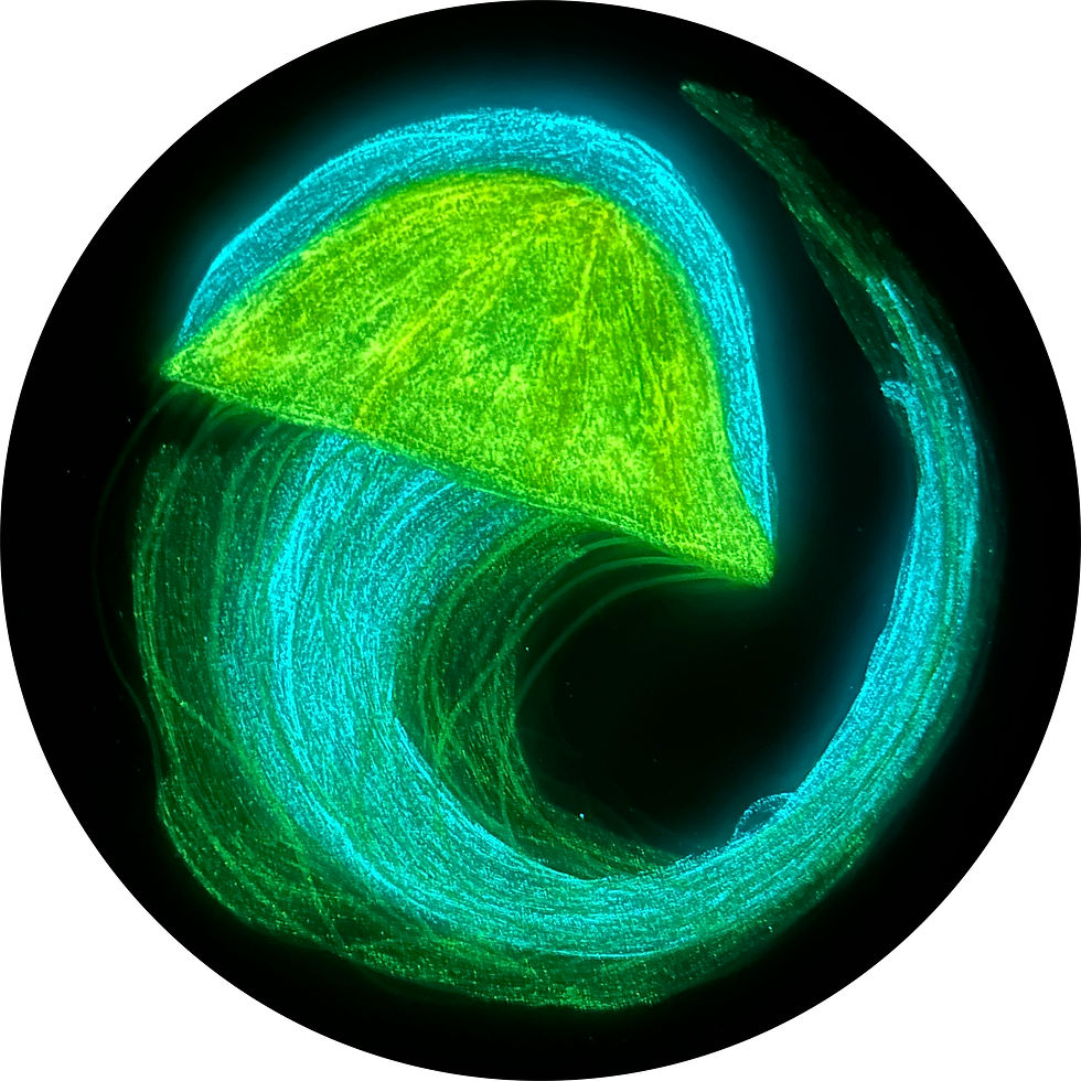 Birds, Insects & Animals | Arwynn