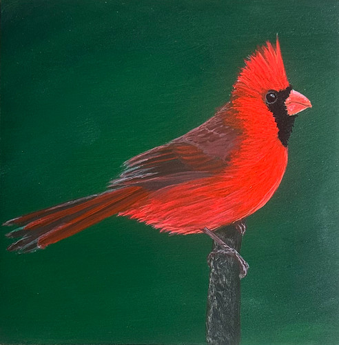 Cardinal on Stick | Arwynn