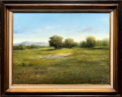 Home | Gabriel Salazar Landscapes