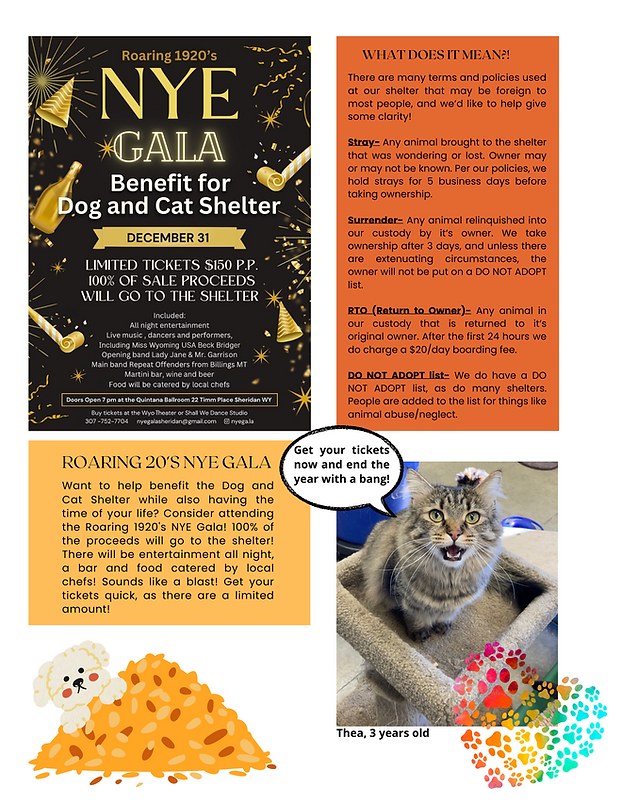 Newsletter | Dog & Cat Shelter