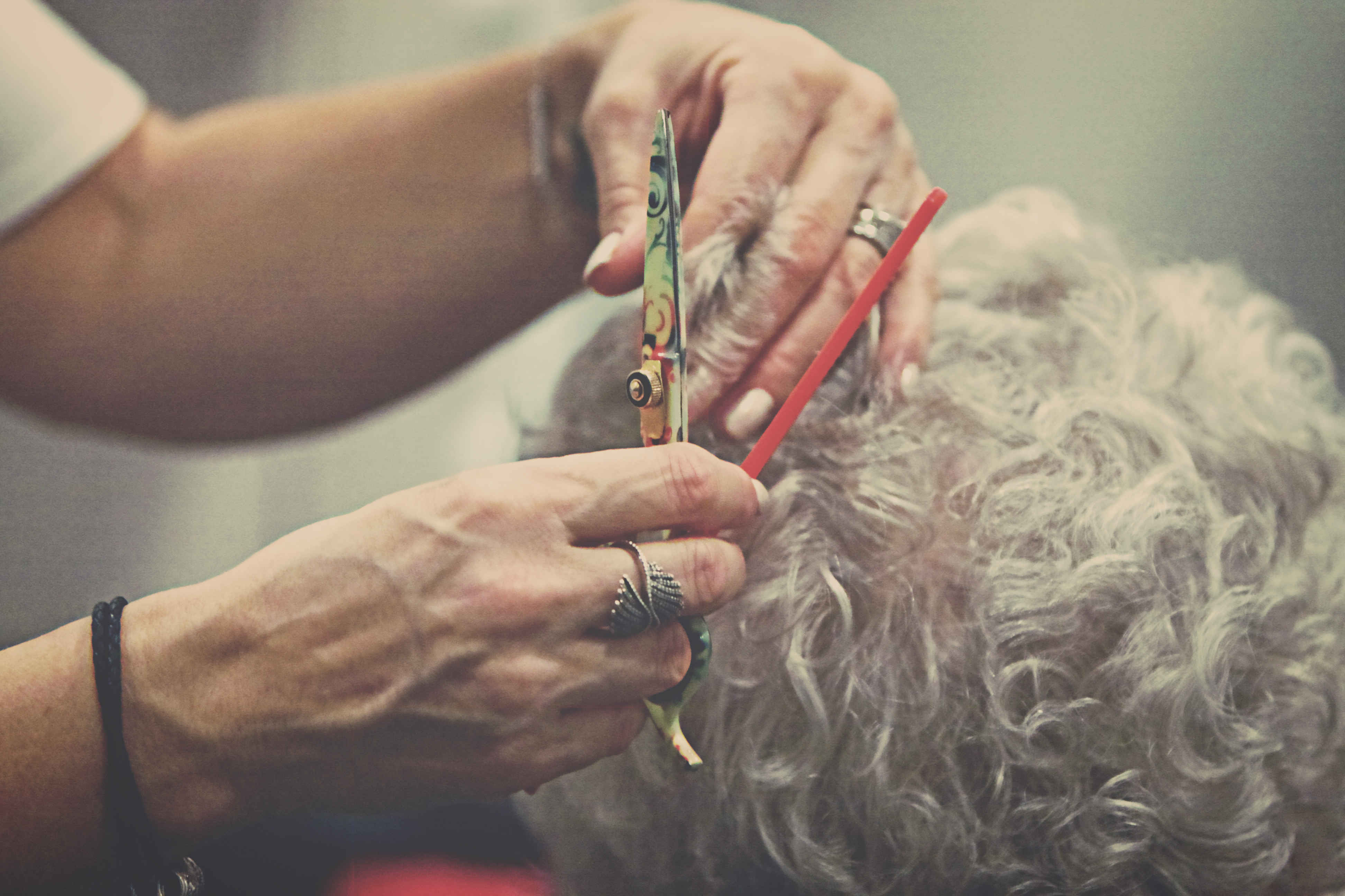 Home | Springfield Court Nursing Home